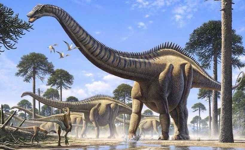 Supersaurus | Dinopedia | FANDOM powered by Wikia