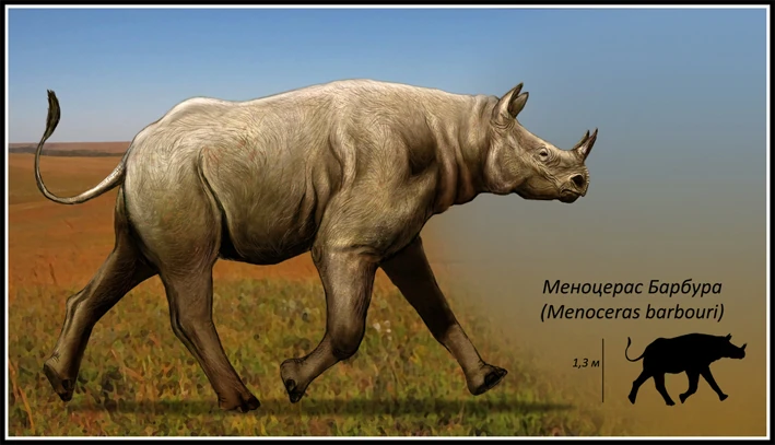 Menoceras | Dinopedia | FANDOM powered by Wikia