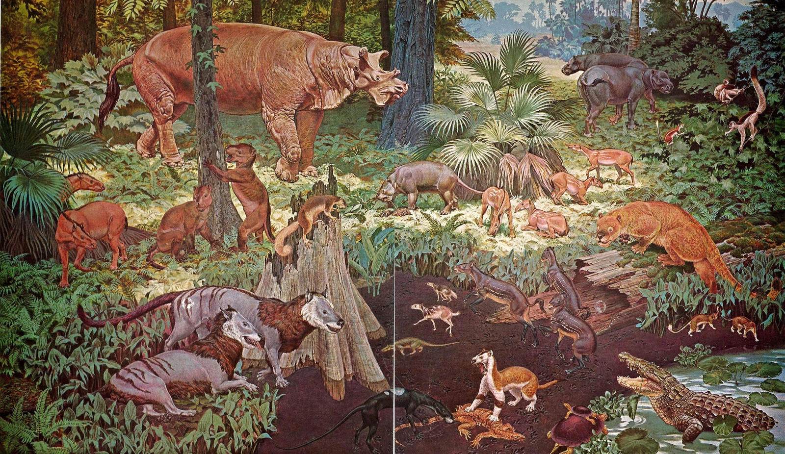 Eocene Epoch Animals