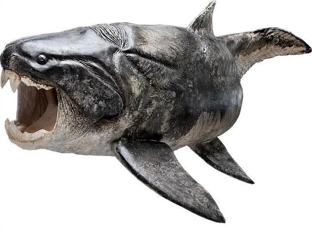 Dunkleosteus | Dinopedia | FANDOM powered by Wikia