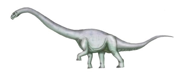 Archosaurus Dinopedia Fandom Powered By Wikia