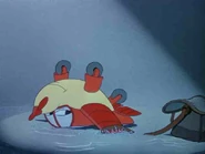 Pedro | Disney Wiki | Fandom powered by Wikia