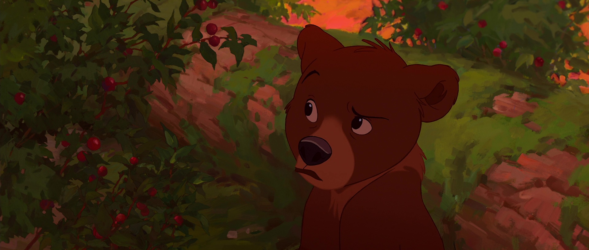 Image - Koda 2.jpg | Disney Wiki | Fandom powered by Wikia