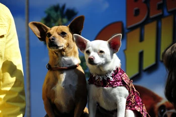 Image - Papi and Chloe 2 copy.jpg | Disney Wiki | FANDOM powered by Wikia