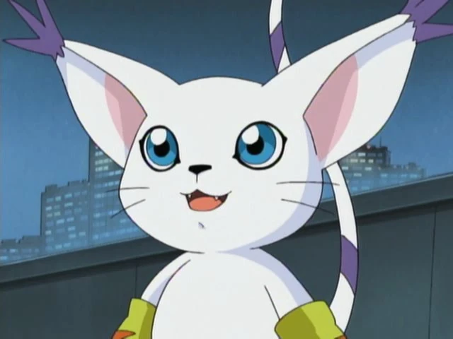 Gatomon (Adventure) | Japanese Anime Wiki | FANDOM powered by Wikia