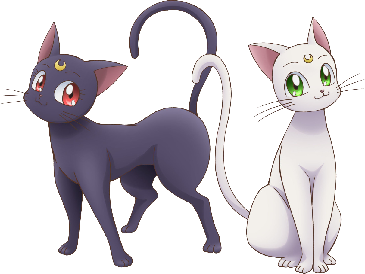 Imagen Sailor Moon Luna And Artemispng Doblaje Wiki Fandom