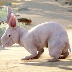 Nug | Dragon Age Wiki | Fandom powered by Wikia