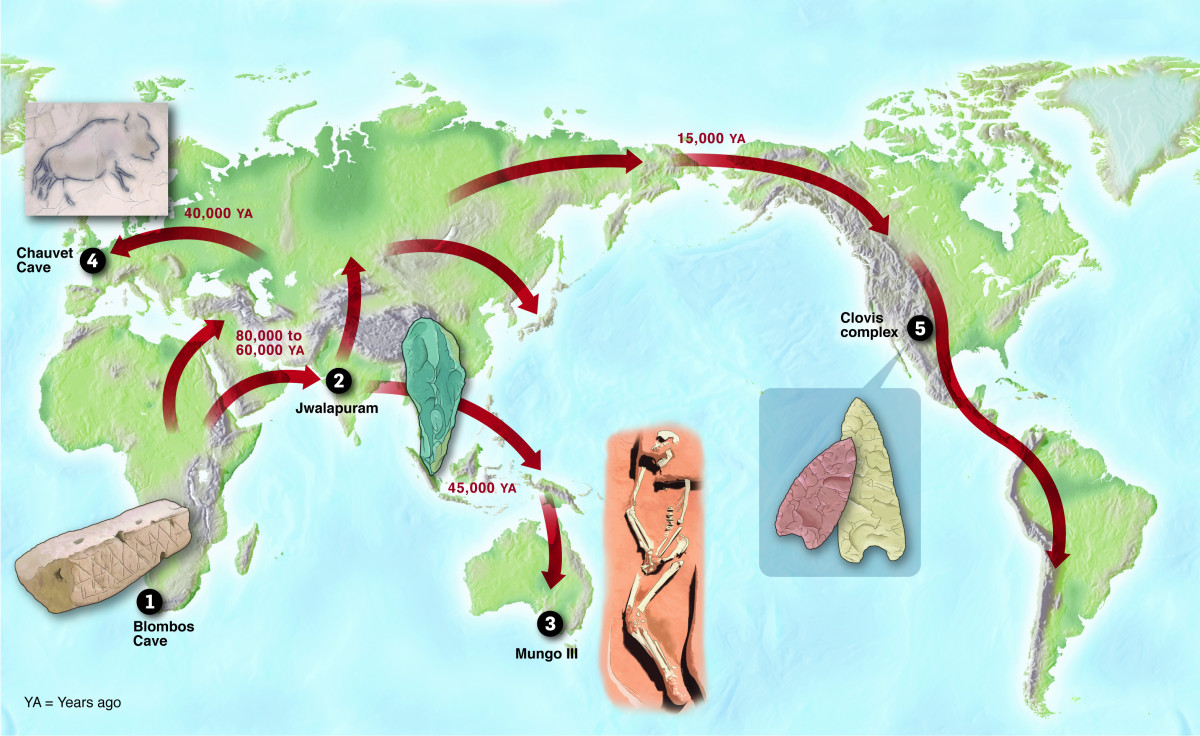 Out Of Africa Evolutionary Theory Dragonflyissuesinevolution13 Wiki