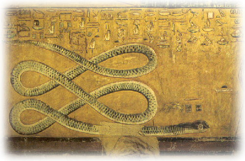 Apep Dragons Fandom Powered By Wikia
