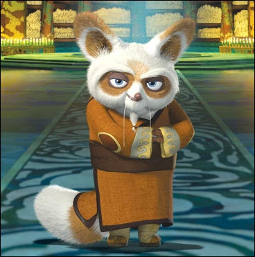 Shifu-isms – doing only what you can do – A Learning a Day