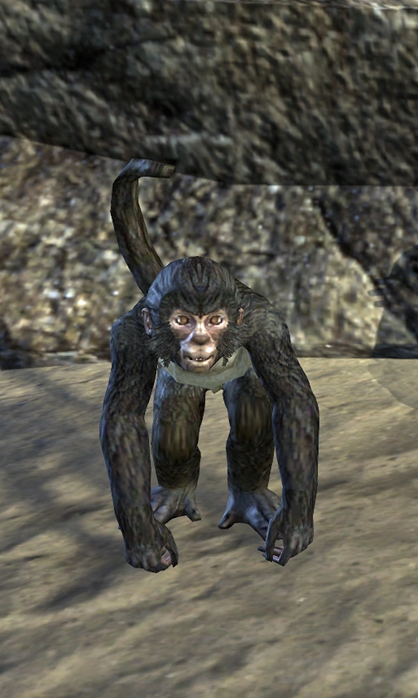 Qawi (Monkey) | Elder Scrolls | FANDOM powered by Wikia