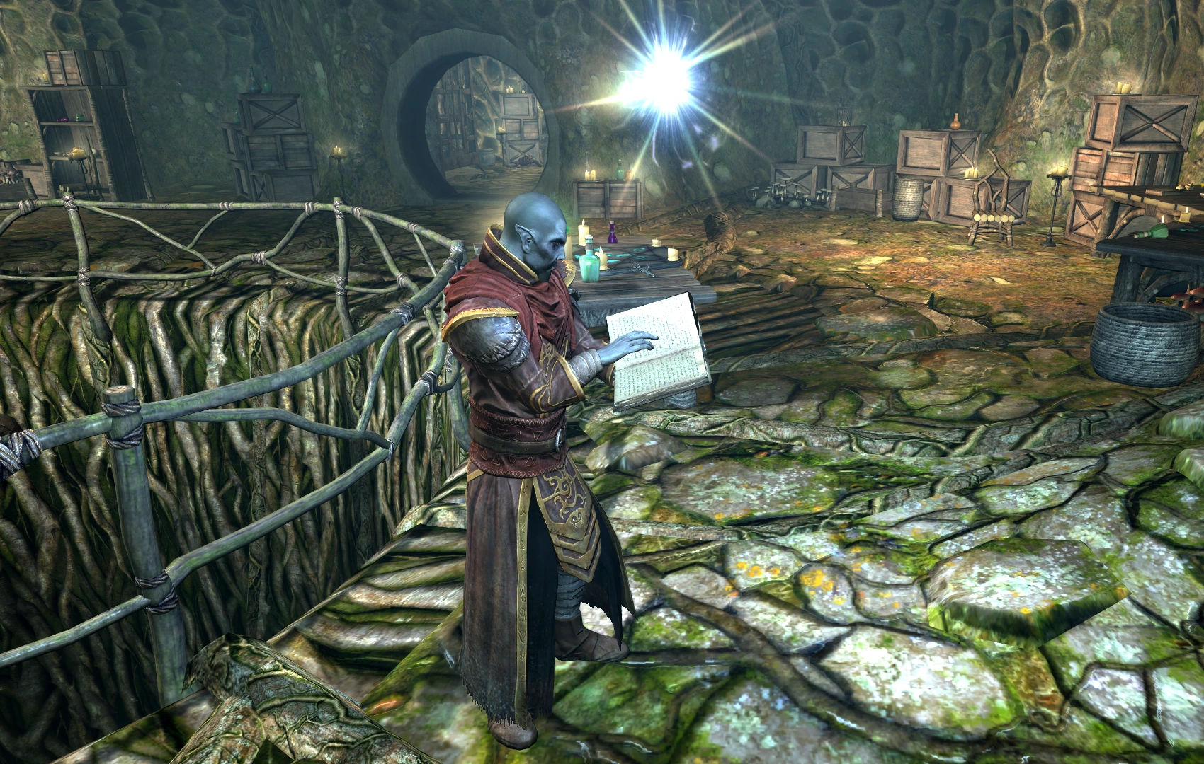 Image - Neloth Reading.png | Elder Scrolls | FANDOM powered by Wikia
