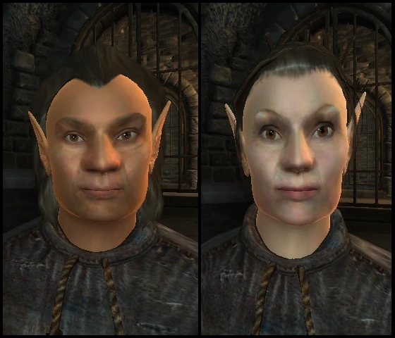 Bosmer (Oblivion) - Elder Scrolls Wiki - Wikia
