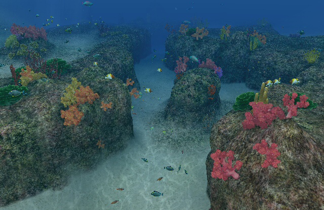 Coral Valley Endless Ocean Wiki Fandom Powered By Wikia