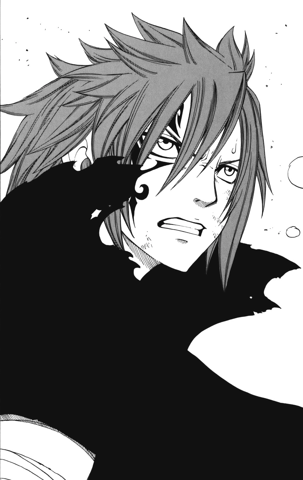 Image - Mystogan face revealed manga.png | Fairy Tail Wiki | Fandom ...
