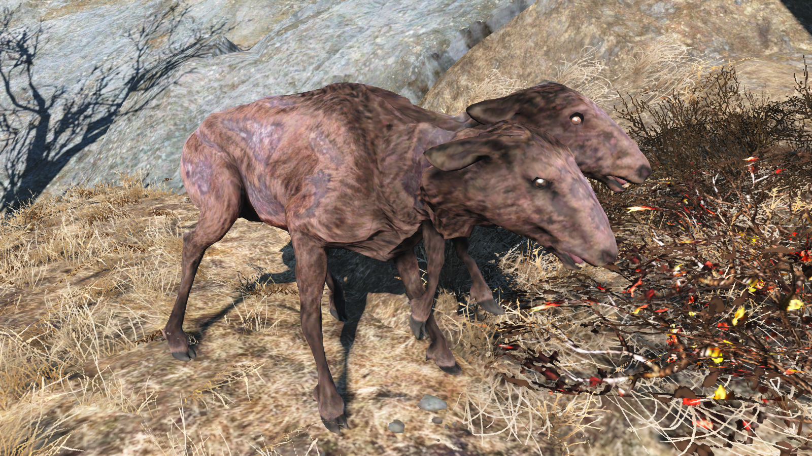 Image - Fo4 Radstag doe.png | Fallout Wiki | FANDOM powered by Wikia Image - Fo4 Radstag doe.png | Fallout Wiki | FANDOM powered by Wikia