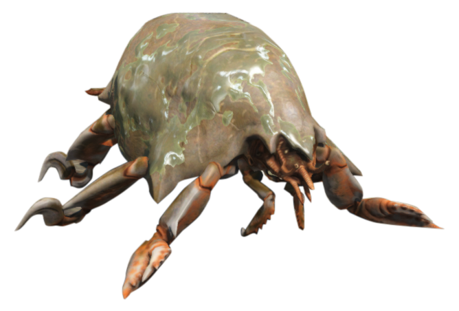 Image Fo4 Mirelurk Hatchlingpng Fallout Wiki Fandom Powered By Wikia