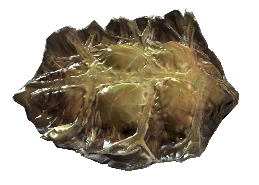 Radroach meat (Fallout 4) | Fallout Wiki | Fandom powered by Wikia