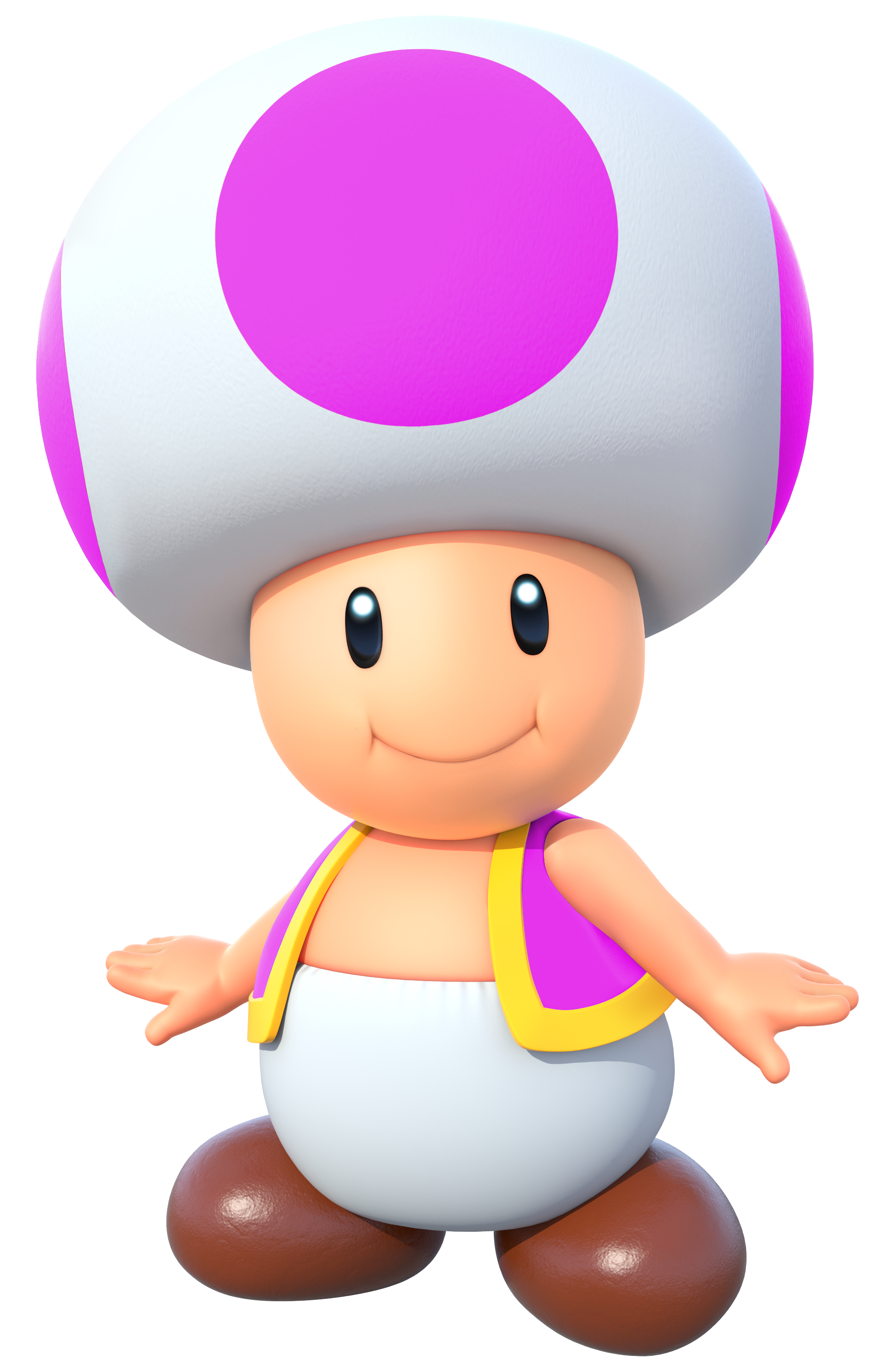 Image - ACL MK8 Purple Toad.png | Fantendo - Nintendo Fanon Wiki ... Image - ACL MK8 Purple Toad.png | Fantendo - Nintendo Fanon Wiki ...