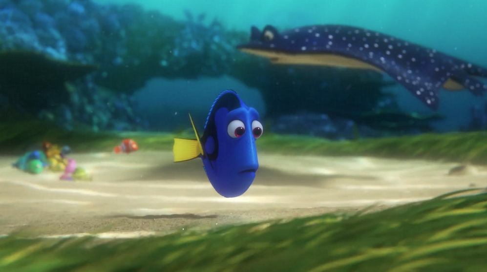 Image - Sad Dory.png | Finding Dory Wiki | Fandom powered by Wikia