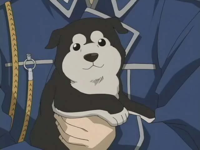 Black Hayate | Full Metal Alchemist Wiki | Fandom powered by Wikia
