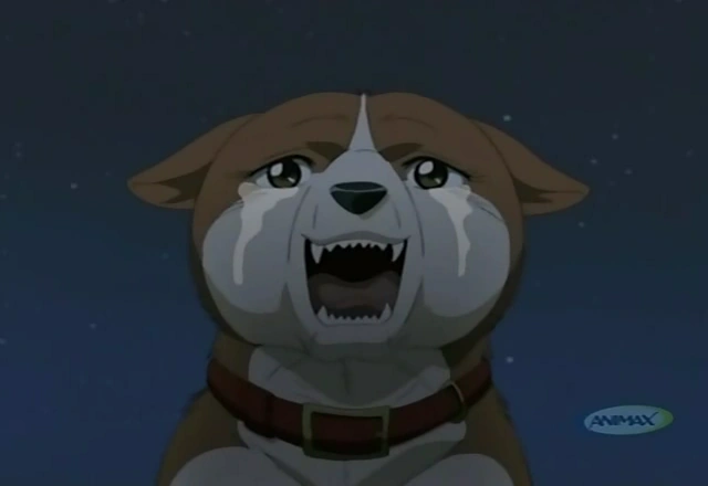 Image - Vlcsnap465564xx9.png | Ginga Wiki | Fandom powered by Wikia
