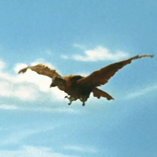 Image - Godzilla.jp - 7 - ShodaiOokondoru Giant Condor 1966.jpg ...