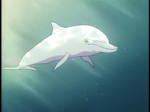 Dolphin | The Gundam Wiki | FANDOM powered by Wikia