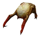 Headcrab | Half-Life Wiki | Fandom powered by Wikia