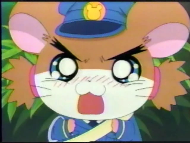 Sparkle/Gallery | The Hamtaro Wiki | Fandom powered by Wikia