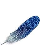 Jobberknoll | Harry Potter Wiki | Fandom powered by Wikia