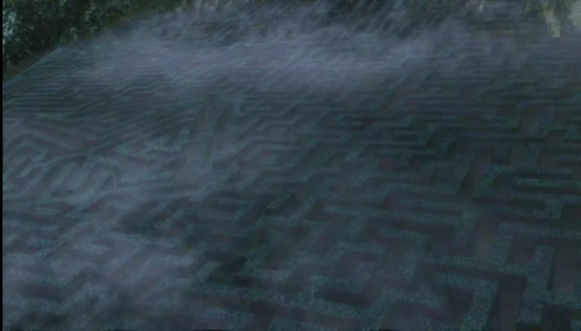 Image - The Maze (Triwizard Tournament 3rd Task).JPG | Harry Potter ...