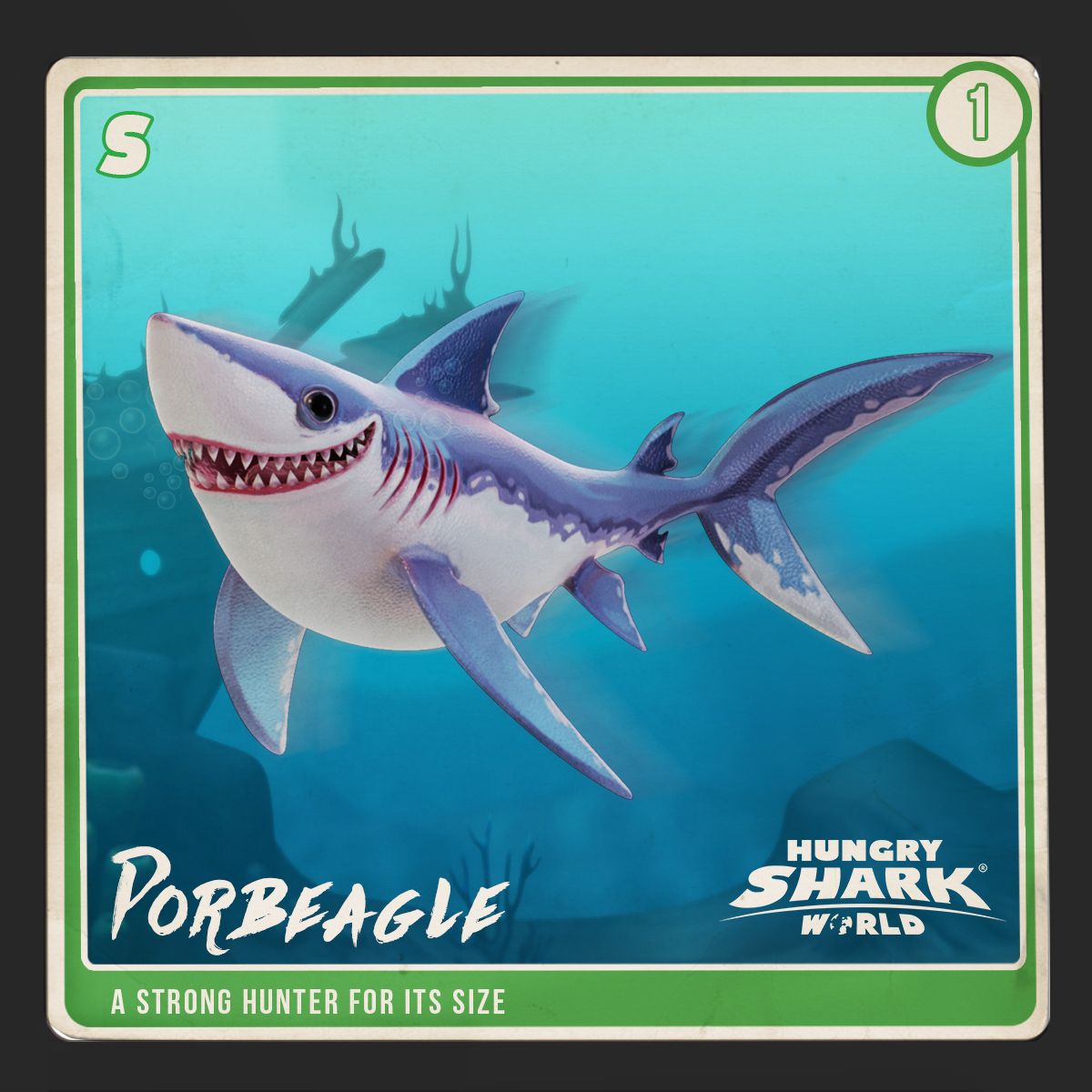 Porbeagle Hungry Shark Wiki Fandom Powered By Wikia