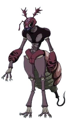 Reine | Wiki Hunter x Hunter | FANDOM powered by Wikia