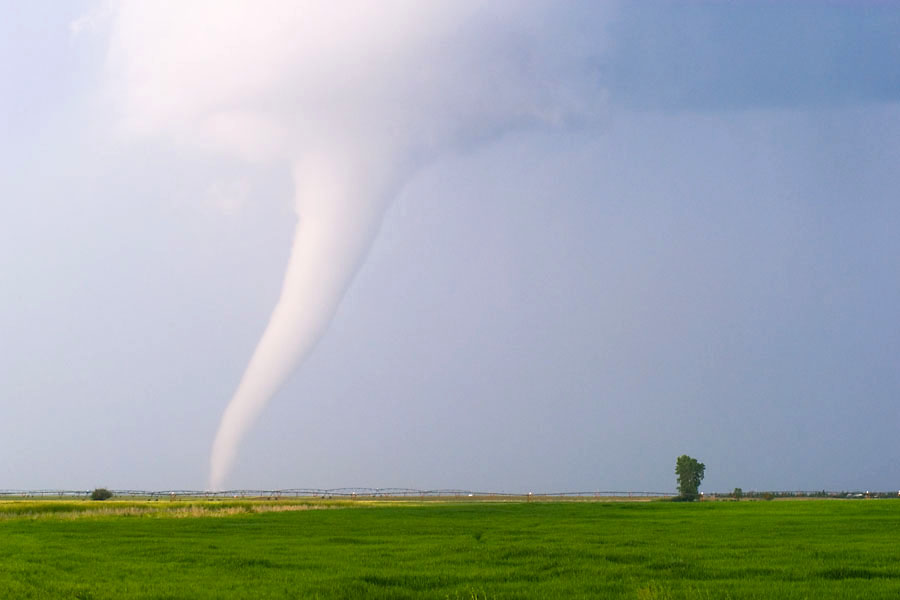 2024 Super Outbreak | Hypothetical Tornadoes Wiki | FANDOM powered by Wikia 2024 Super Outbreak | Hypothetical Tornadoes Wiki | FANDOM powered by Wikia