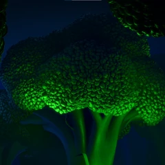 Subconscious | Inside Out Wikia | FANDOM powered by Wikia