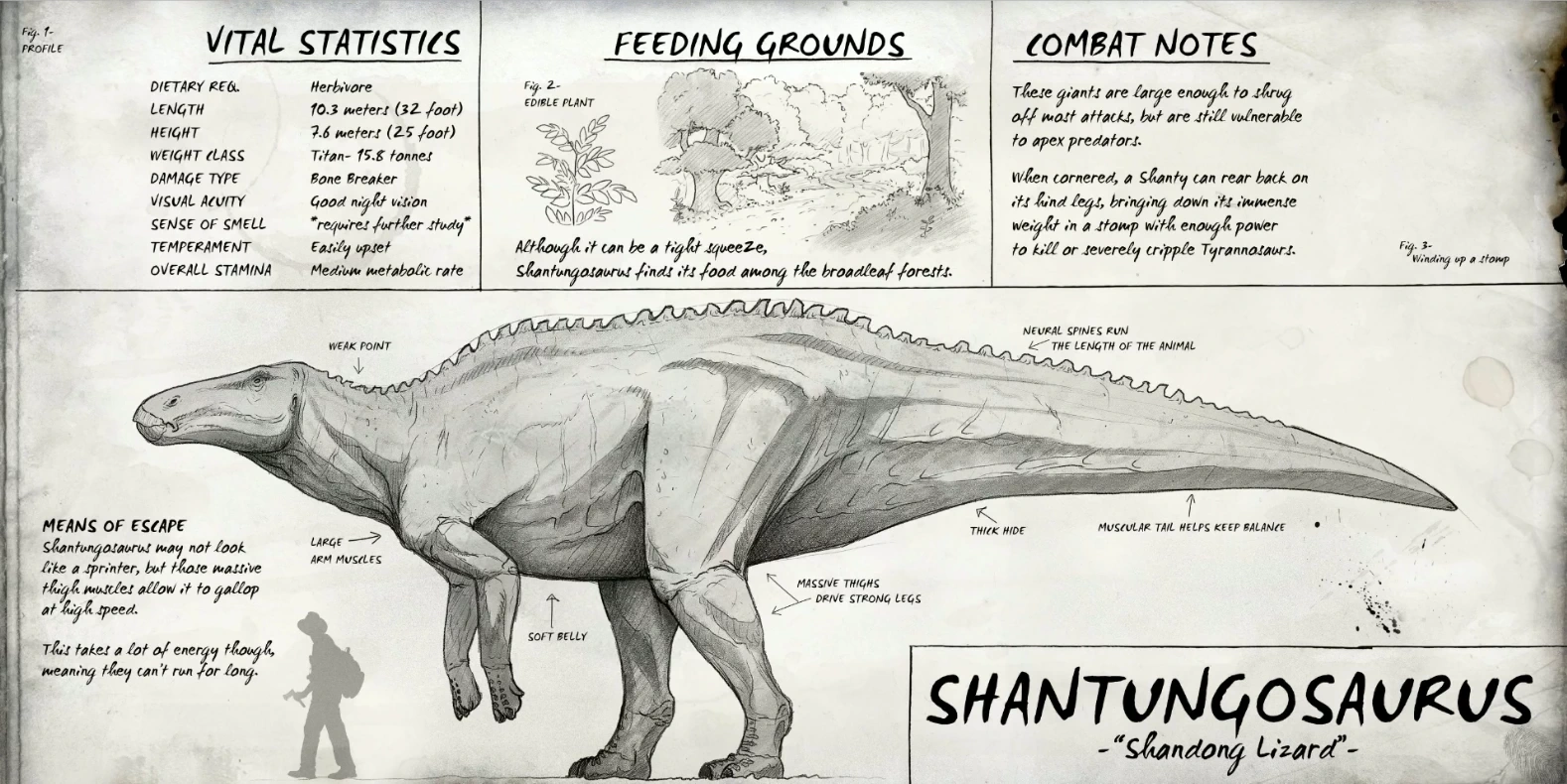 Image - Shantungosaurus Dossier The Isle.png | The Isle Wiki | FANDOM ...