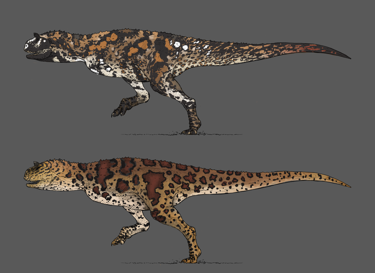 Image Carnotaurus Concept Art The Isle Png The Isle Wiki Fandom