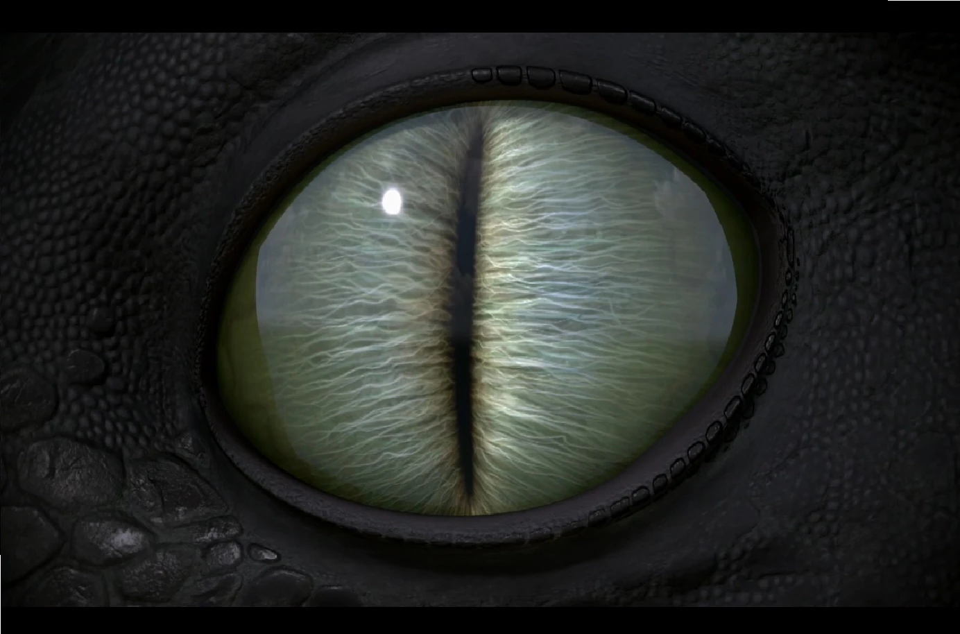 Plik:Oko.jpg | Jak Wytresować Smoka Wiki | Fandom powered by Wikia