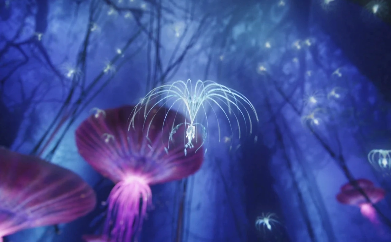 Atokirina | Avatar Wiki | FANDOM powered by Wikia