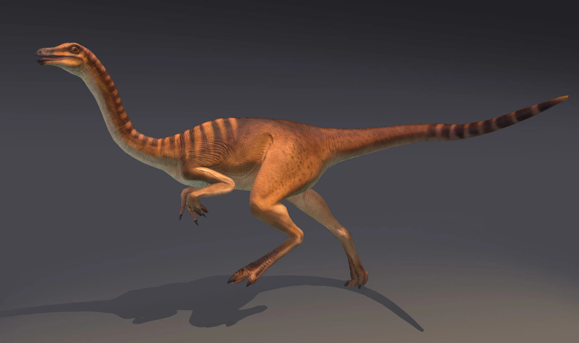 Gallimimus | Jurassic Park Wiki | FANDOM powered by Wikia