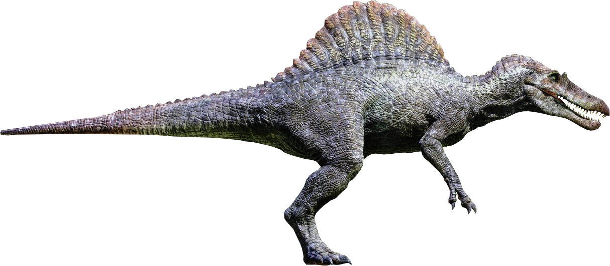 Spinosaurus | Wikia Jurassic Park | FANDOM powered by Wikia