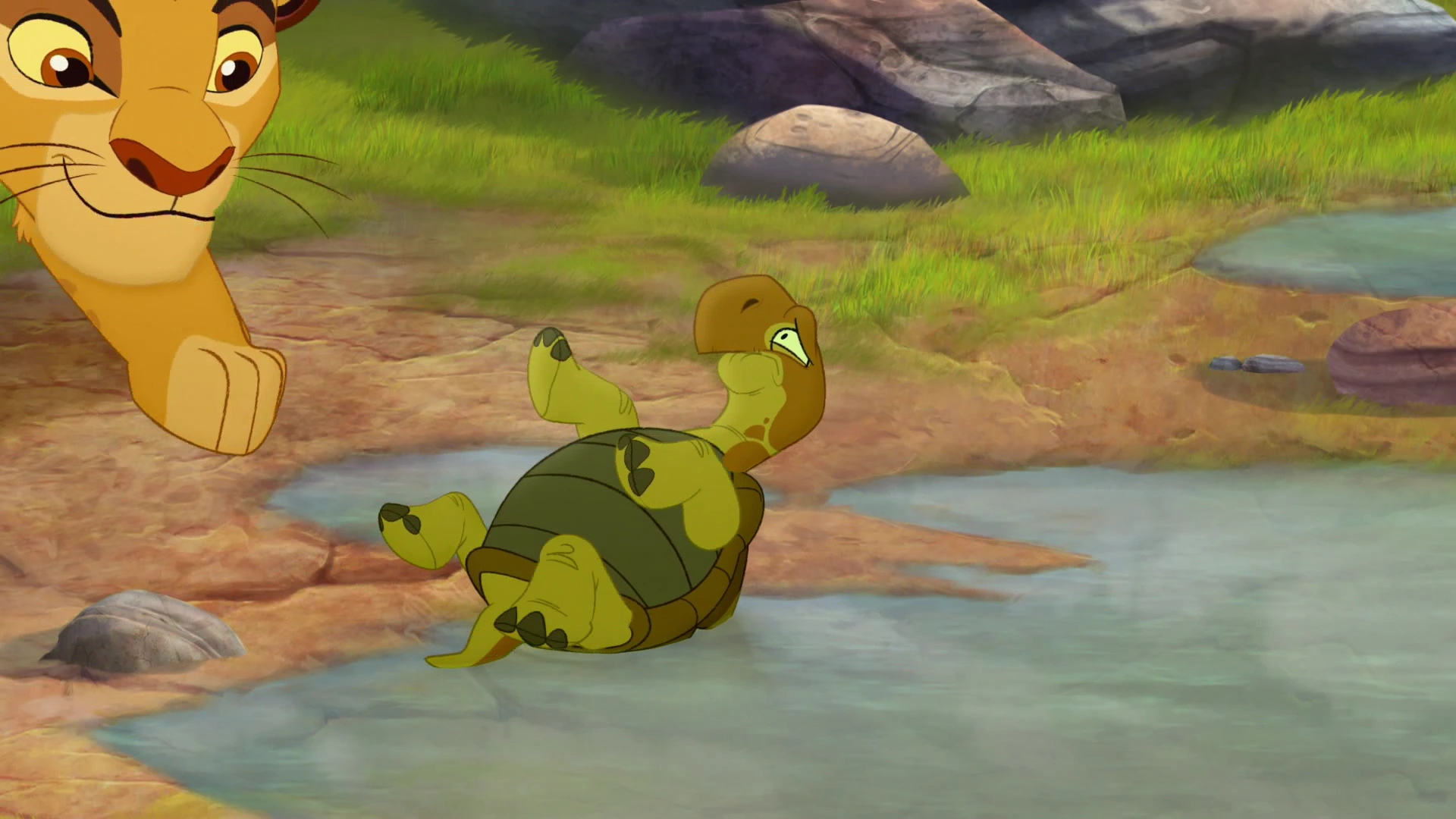Turtles | The Lion Guard Wiki | FANDOM powered by Wikia