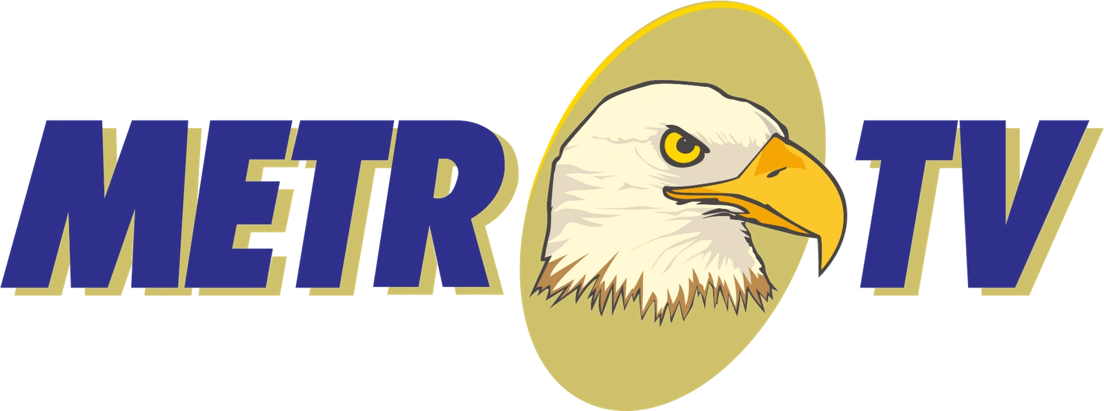 MetroTV | Logopedia | Fandom powered by Wikia