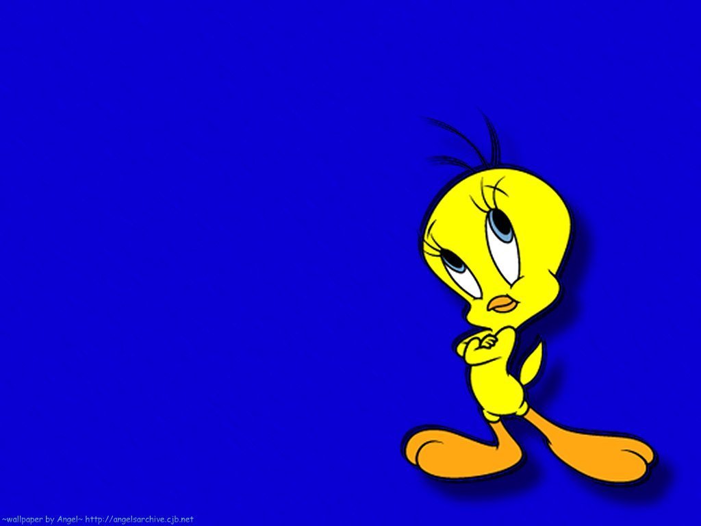 Image - Tweety-Wallpaper-tweety-bird-4784970-1024-768.jpg | Looney ...