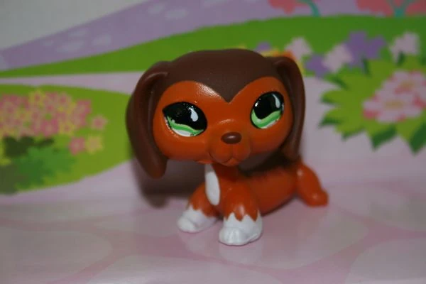 Littlest Pet Shop Dachshund 675 | Littlest Pet Shop Wiki | Fandom ...