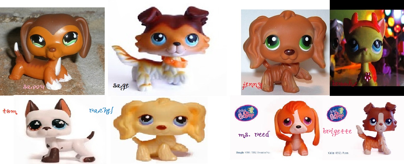 Image - The real lps popular characters part 1.jpg | Lpspopular Wiki ...