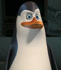 Kowalski | Madagascar-Wiki | FANDOM powered by Wikia