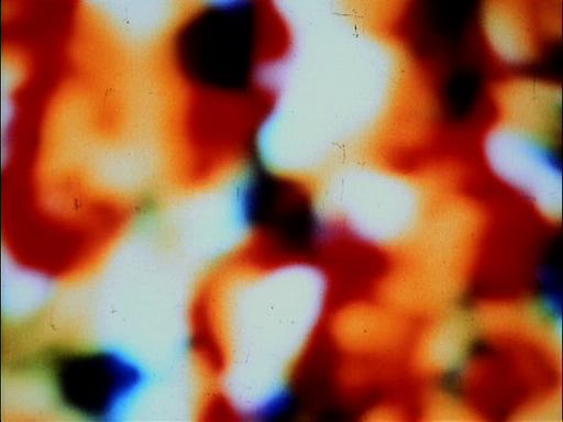 Medusan | Memory Alpha | FANDOM powered by Wikia