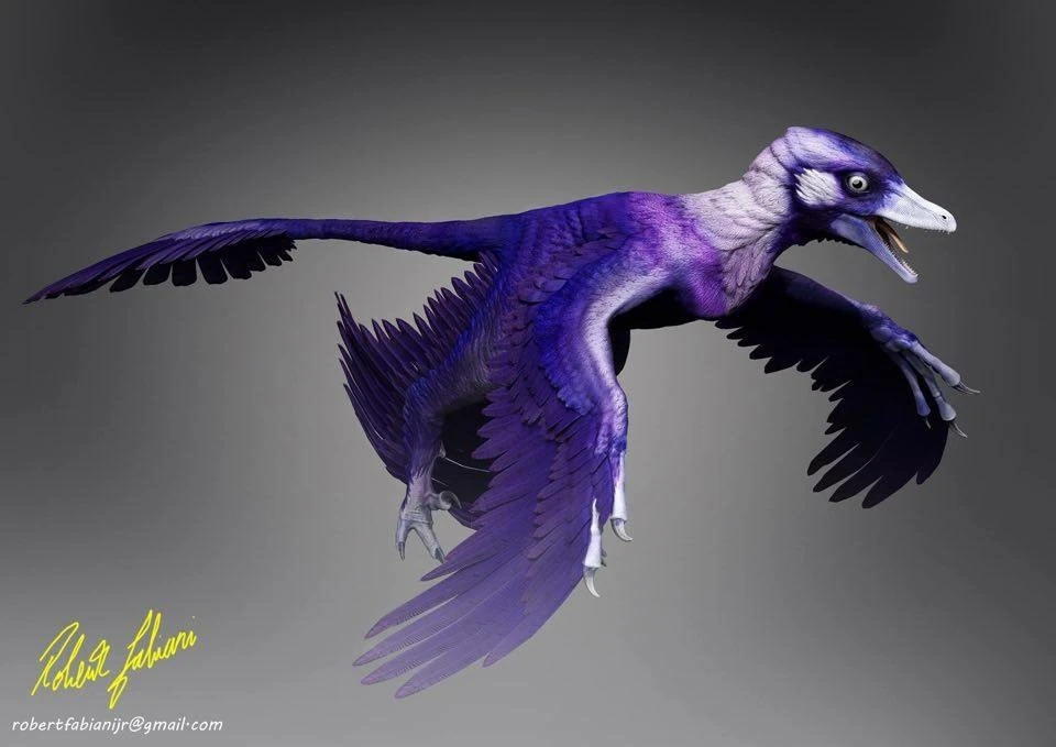 Microraptor | Mesozoica game Wikia | Fandom powered by Wikia
